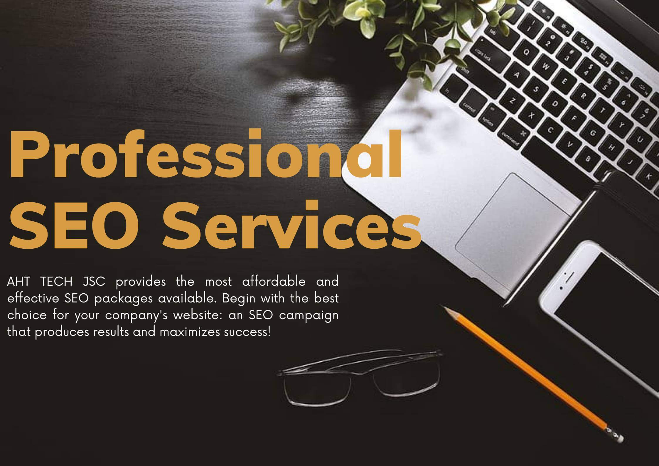 Professional search engine optimization services: Boost your site ranking