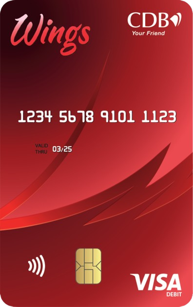 CDB Wings| Exclusive Financial Solutions for Women