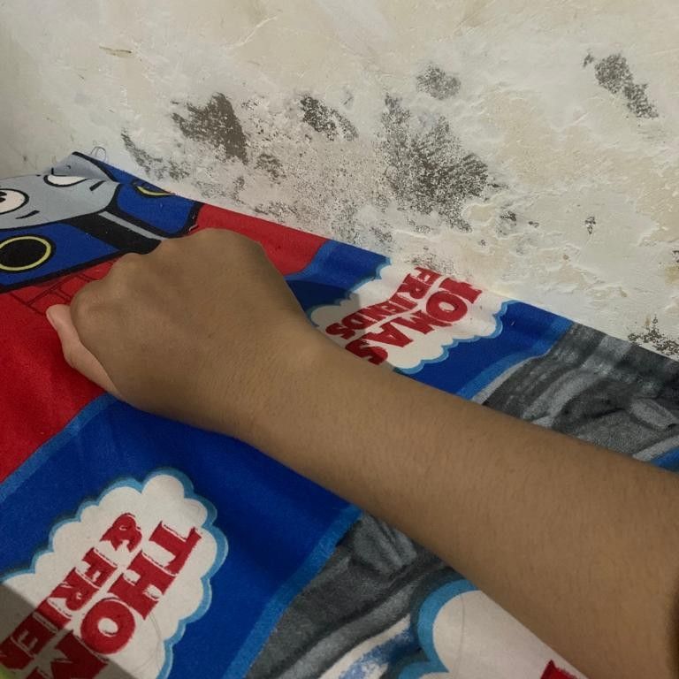 Pyary Nalpamara Herbal Soap 75 g - Beauty Review