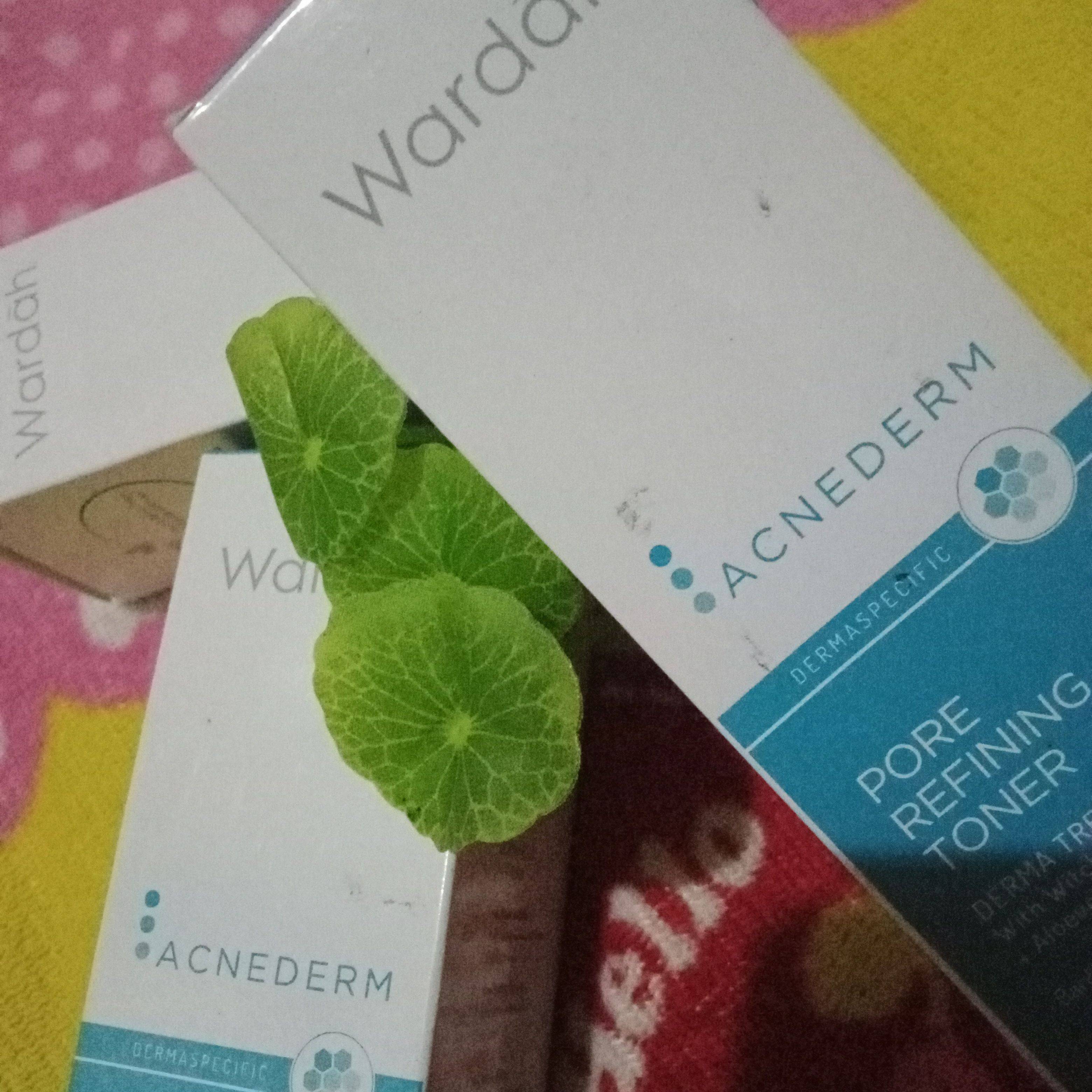 Wardah Acnederm Pore Refining Toner - Beauty Review