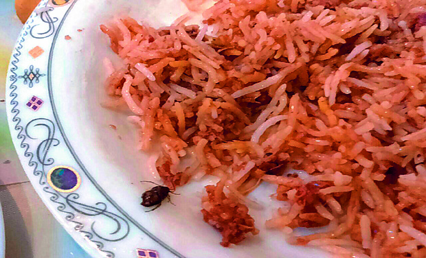 Joint serves cockroach with Biryani