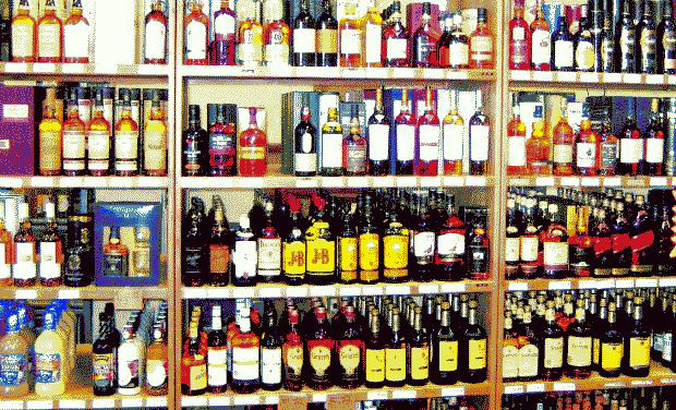 Wine Shops Fleece Sots