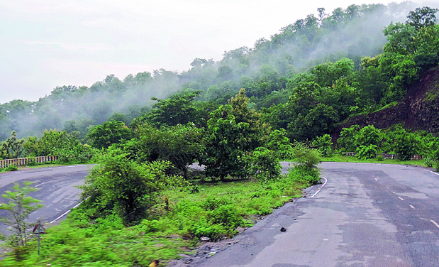 Cold weather, fog enhance Adilabad’s scenic beauty