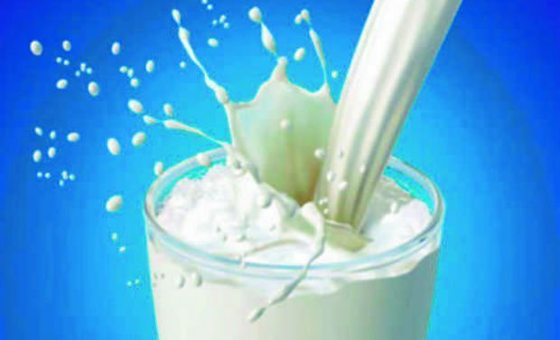 Milma plans milk with long shelf life
