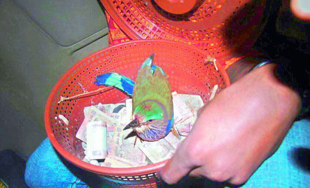 Four booked for catching palapittas