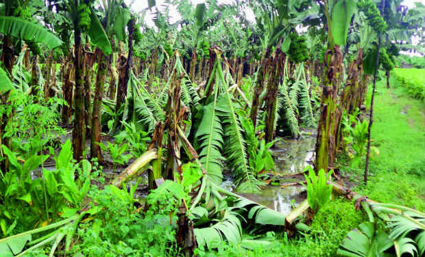 Officials race against time to put safeguards in place