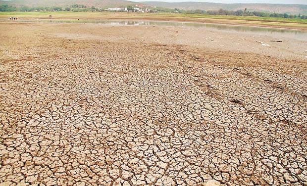 Crops wither away in North Karnataka due to dry spell