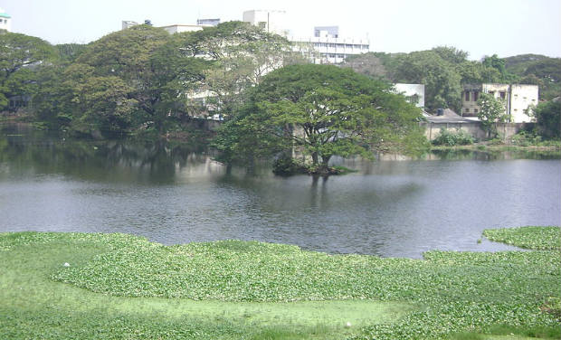 Chetpet lake to get makeover