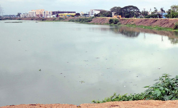 Ukkadam tank cleared of weeds