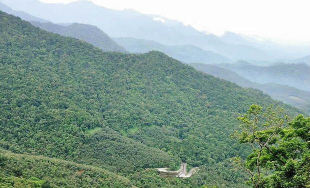 Forest Academy delayed in Rajahmundry