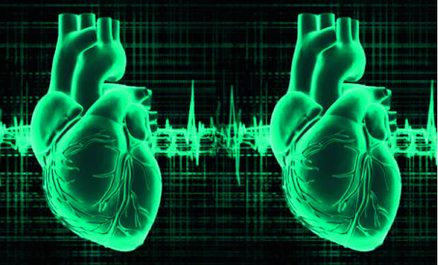 Humans can have two hearts