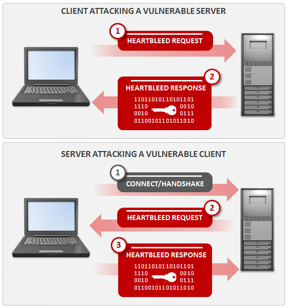 Heartbleed bug: How it attacks