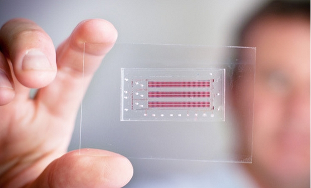Soon, cheap portable chip for instant blood tests