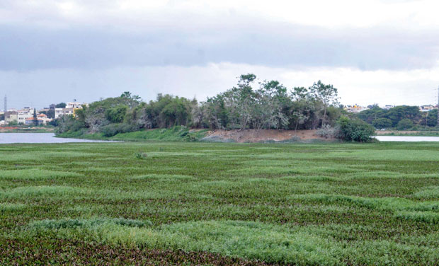 The Agara lake takes the cake!