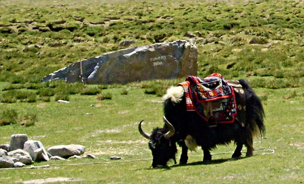 10 trips you need to take in your 20s