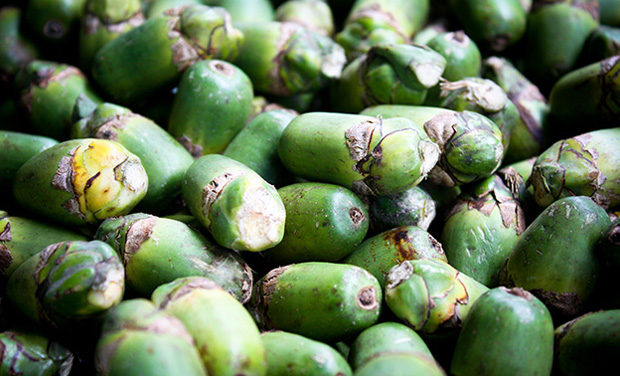 Anti-smoking drug may help treat 'betel nut' addiction