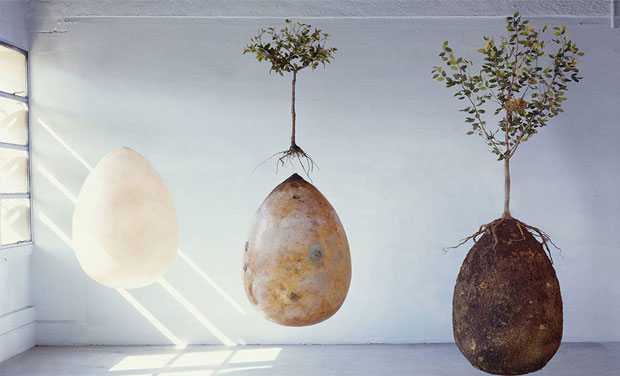 Burial pods to turn human remains into trees!