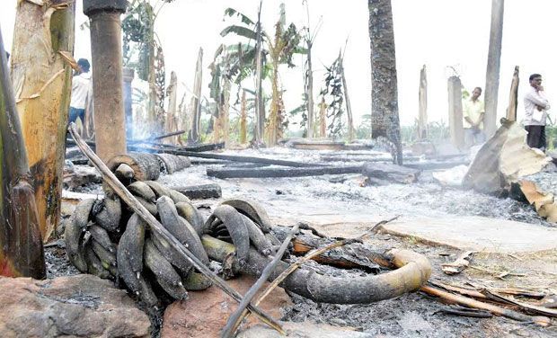 More farms burnt in Andhra Pradesh's new capital area