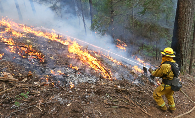 More than 21,000 structures face threat due to California wildfire