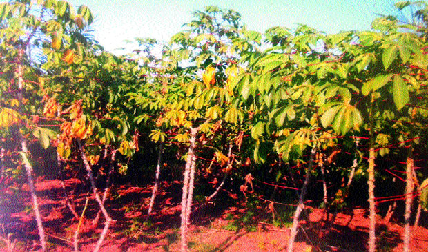 Farmers look to Chennai