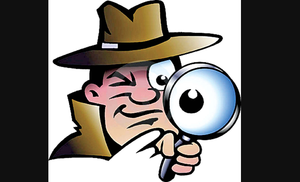Central government not snooping on detectives