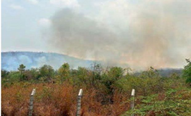 Drones soon on Seshachalam forest