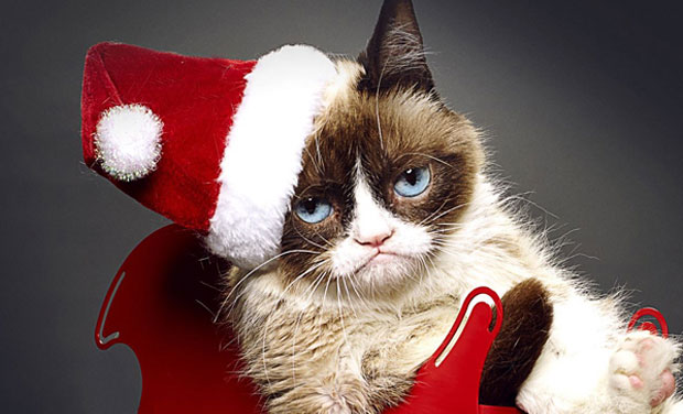 Internet sensation Grumpy cat gets her Hollywood break in 'Grumpy Cat’s ...