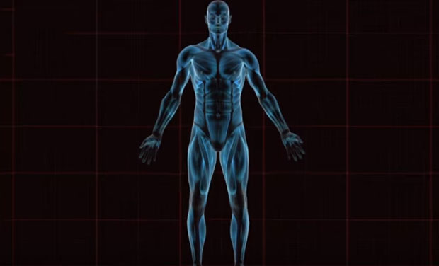 Watch: Ten body parts that we don’t really need