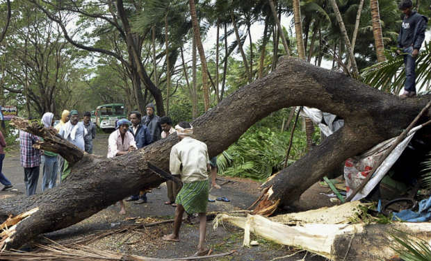 In pictures: Cyclone Helen leaves destruction behind
