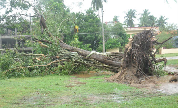 In pictures: Cyclone Helen leaves destruction behind