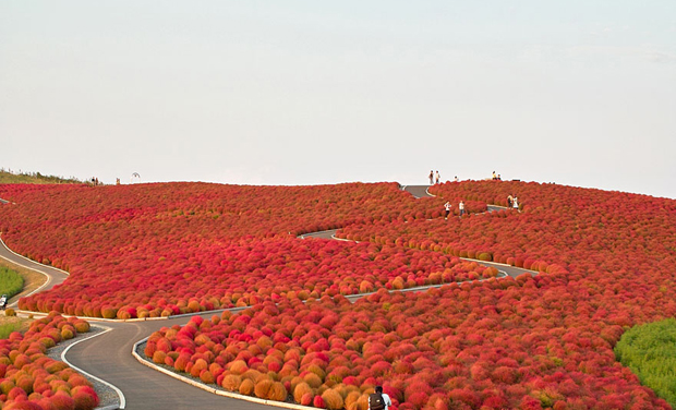 Experience the beauty of autumn