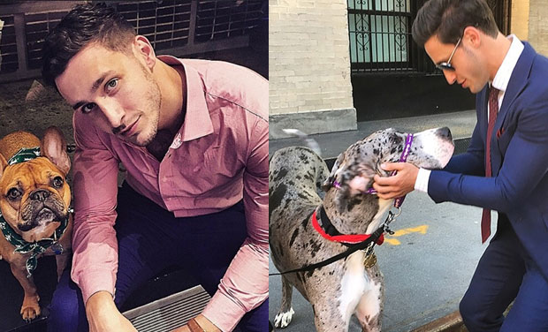 This hot doctor and his husky are an Internet sensation