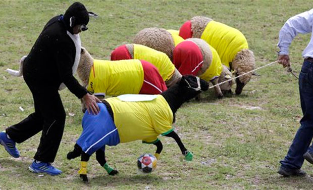 Football fever kicking in