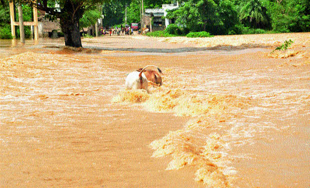 High flood alert over Vamsadhara