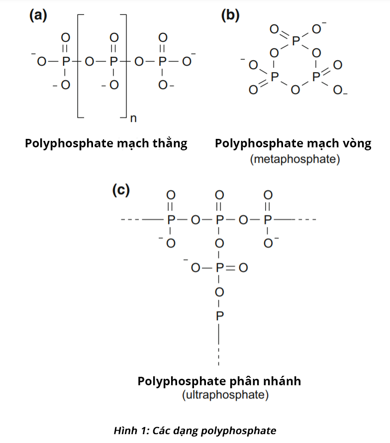 FUNO - Phân lân polyphosphate giúp làm sạch hệ thống tưới