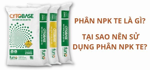 FUNO - PHÂN NPK TE LÀ GÌ? TẠI SAO NÊN SỬ DỤNG PHÂN NPK TE