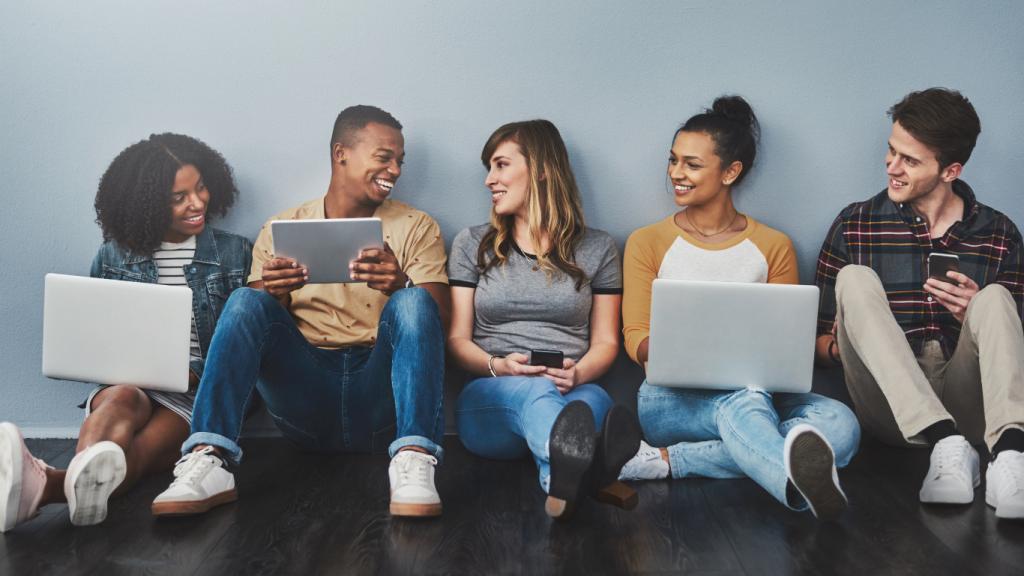 The Impact of IT Education on Digital Citizenship Skills - Vipula ...