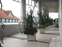 The Icon, KLCC, KL City Centre - Property Info, Photos & Statistics ...