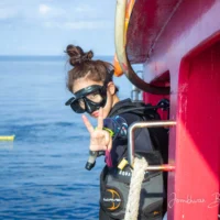 Dive School Koh Tao – Phoenix Divers | Best Diving Koh Tao