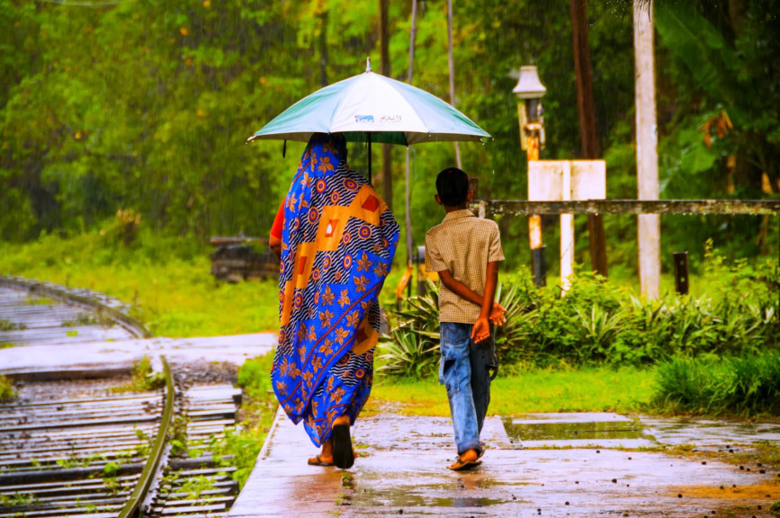 වැස්සේ වැඩිවීමක් - Sannasa - සන්නස | ශ්‍රී ලාංකීය නව මාධ්‍යකරනයේ පෙරගමන්කරු