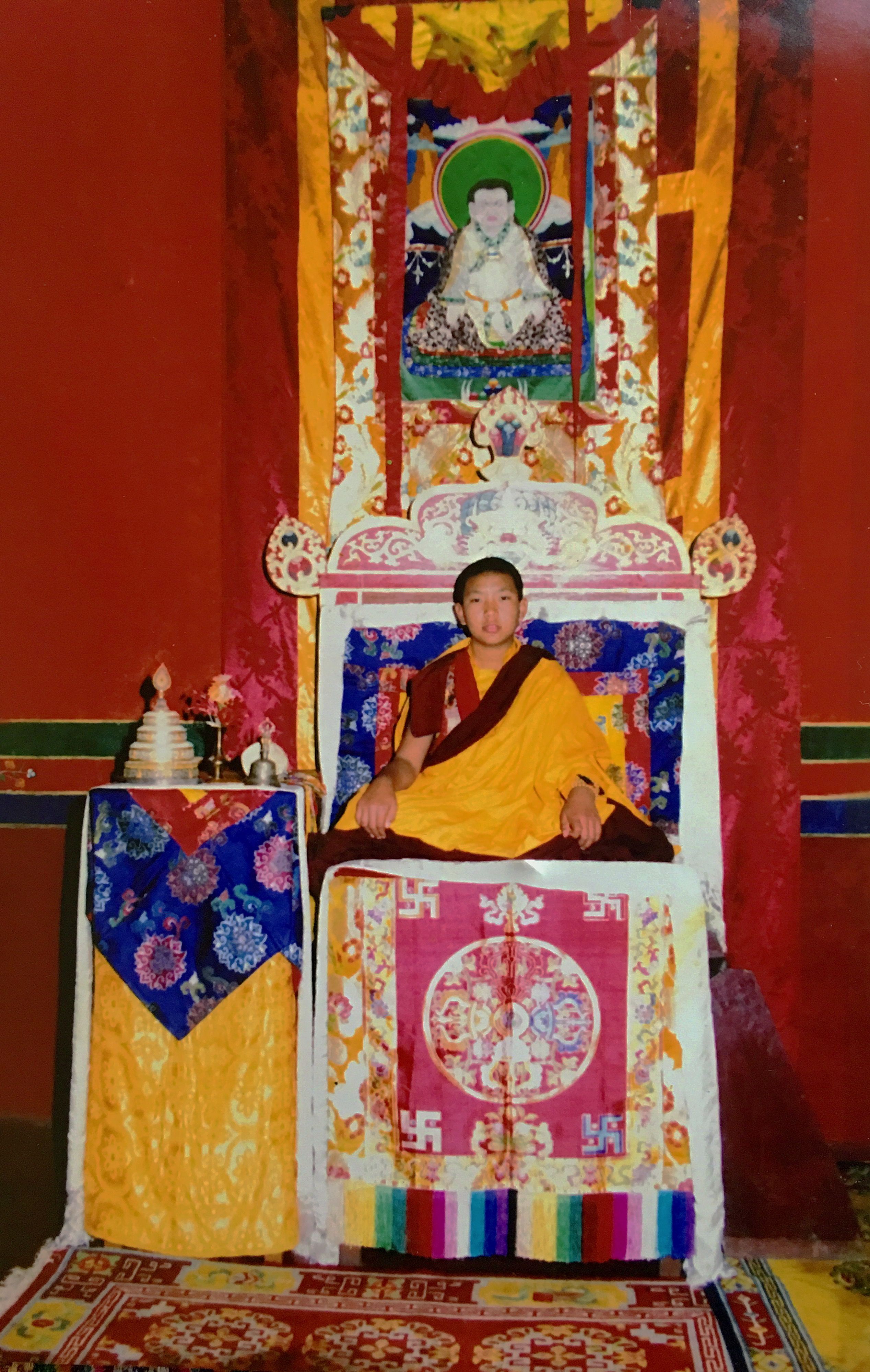 About Rinpoche
