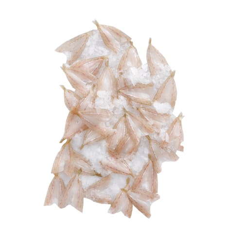 Frozen Local Kisu Fish Fillet (550g) - BuiltaMart