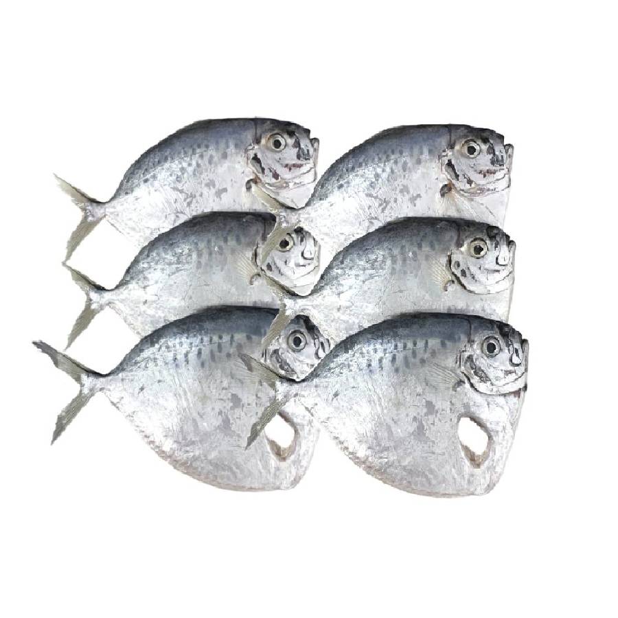 Frozen Hiwas "Moon Fish" Cleaned (400-500g) - BuiltaMart