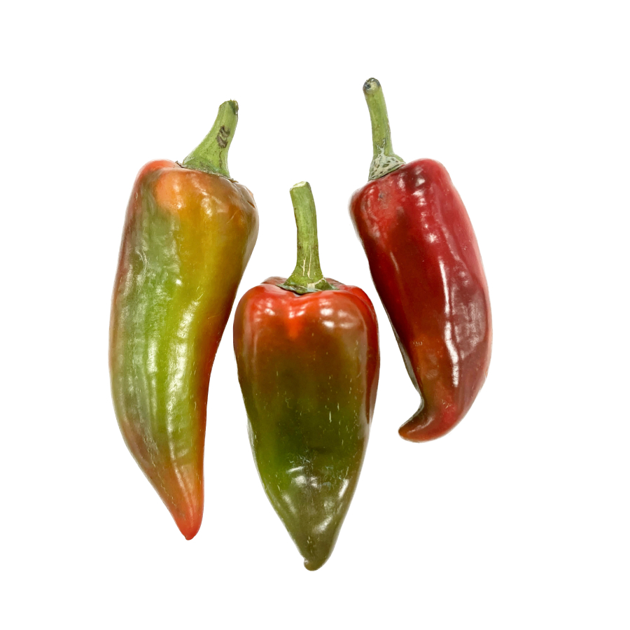 Bell Pepper Sultan Mixed Colors (200g) - BuiltaMart