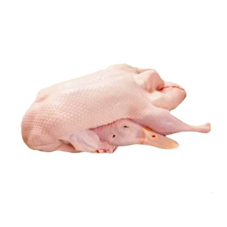 Frozen US Cherry Valley Duck (2.5-3kg) by Esguerra Farms - BuiltaMart