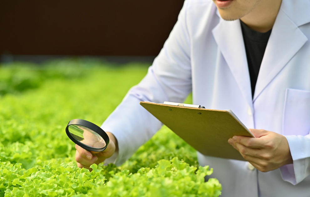 Agri Tech in Singapore: Technologies, Jobs & Courses [+ FAQs ...