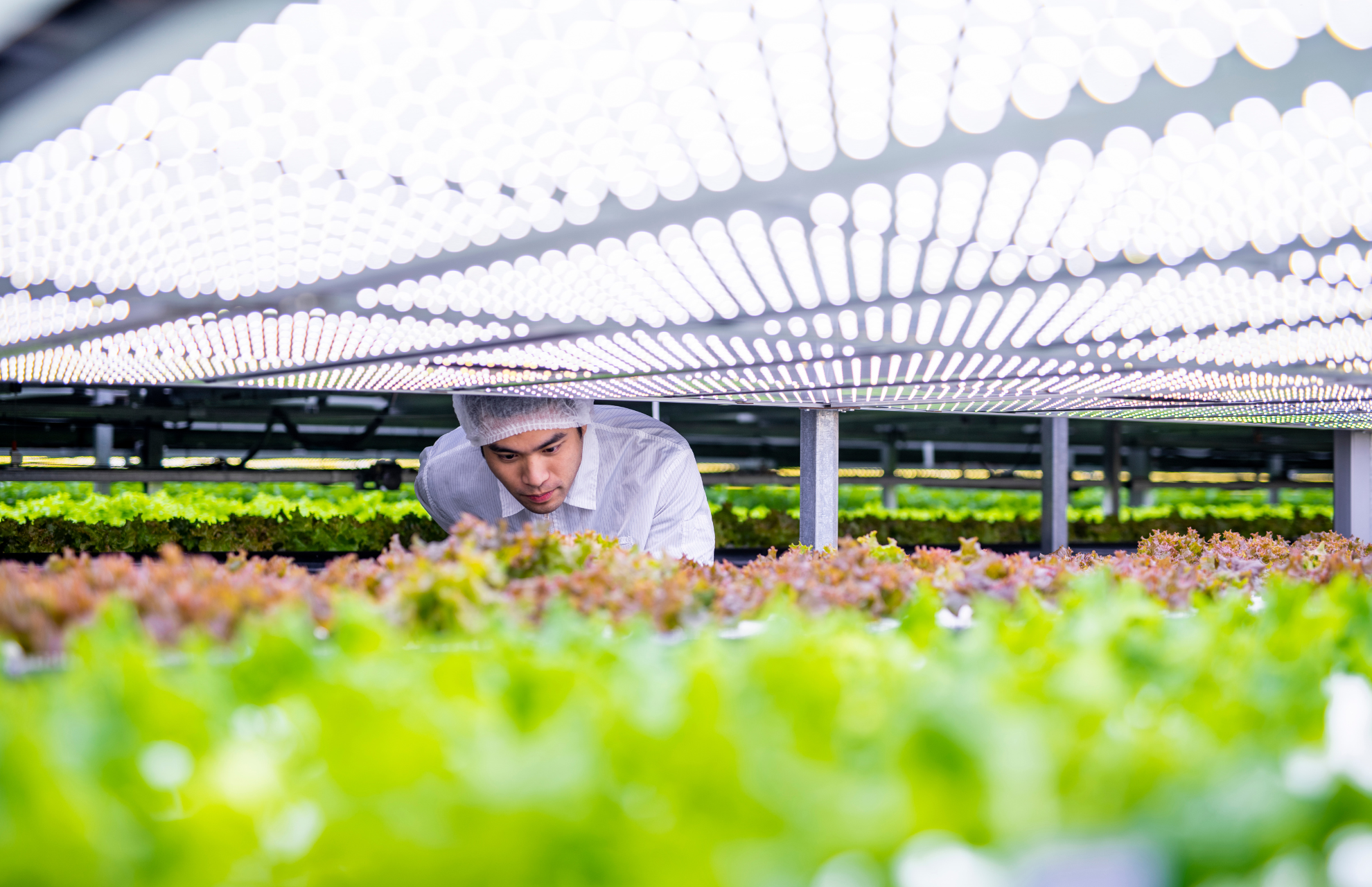 Agri Tech in Singapore: Technologies, Jobs & Courses [+ FAQs ...