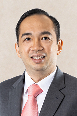 SCS Honorary Advisory Council - Singapore Computer Society