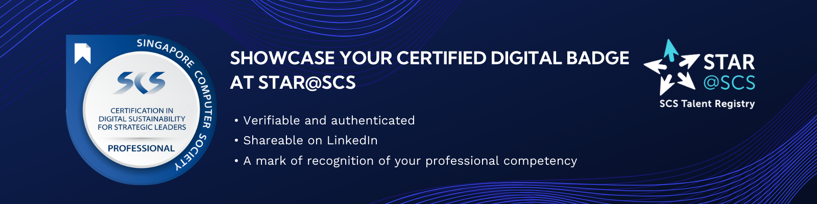 Certification in Digital Sustainability for Strategic Leaders ...