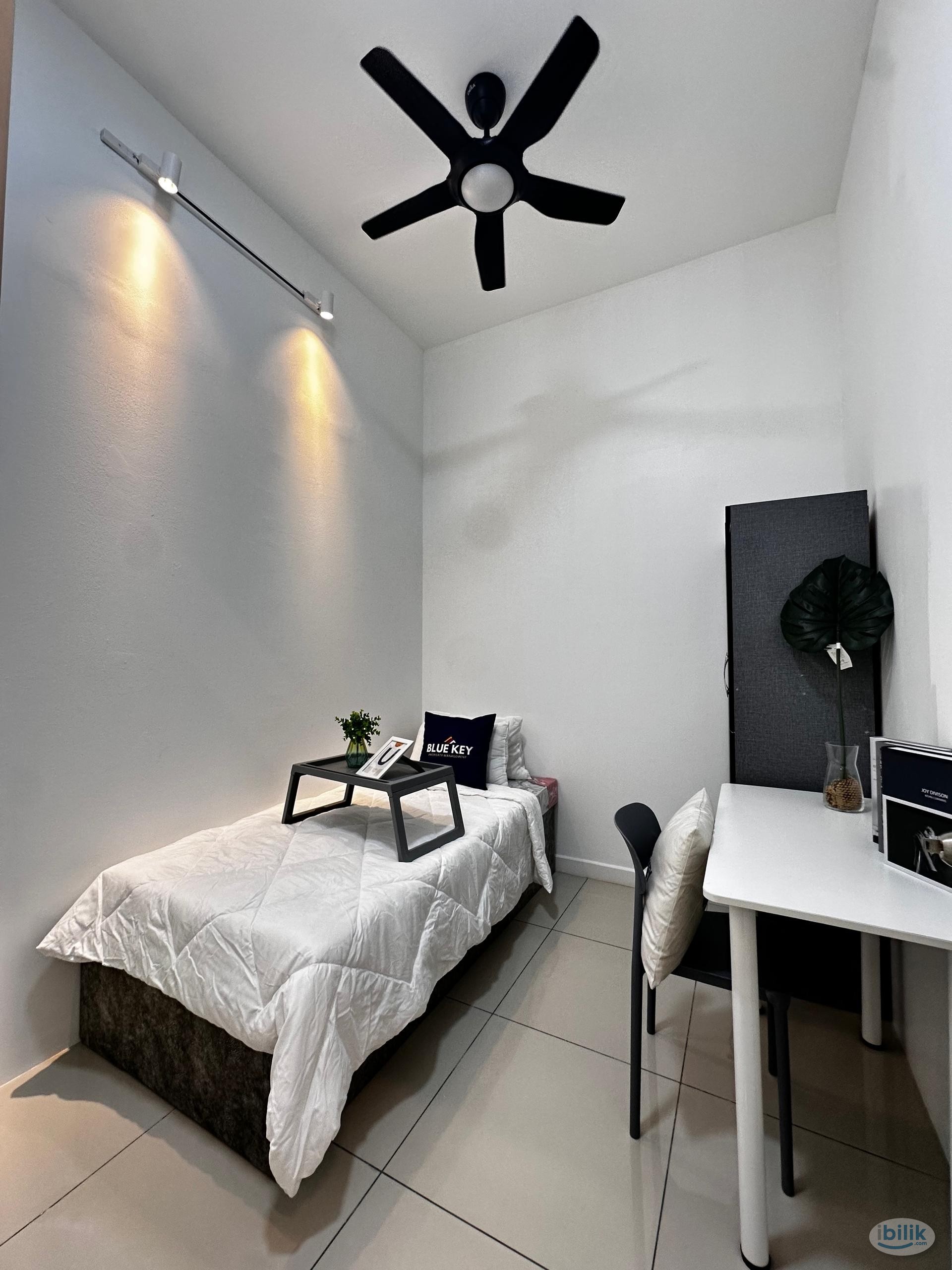 New renovated!! Single room for rent - Room For Rent in